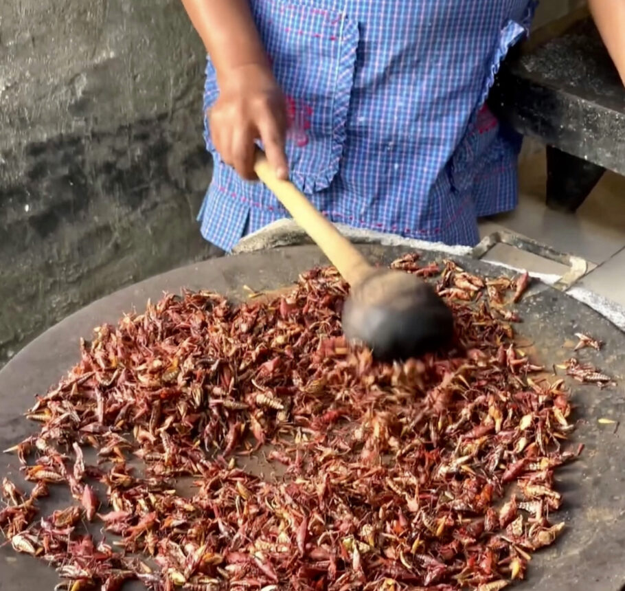 Chapulines Asados - Tradiciones y Comidas